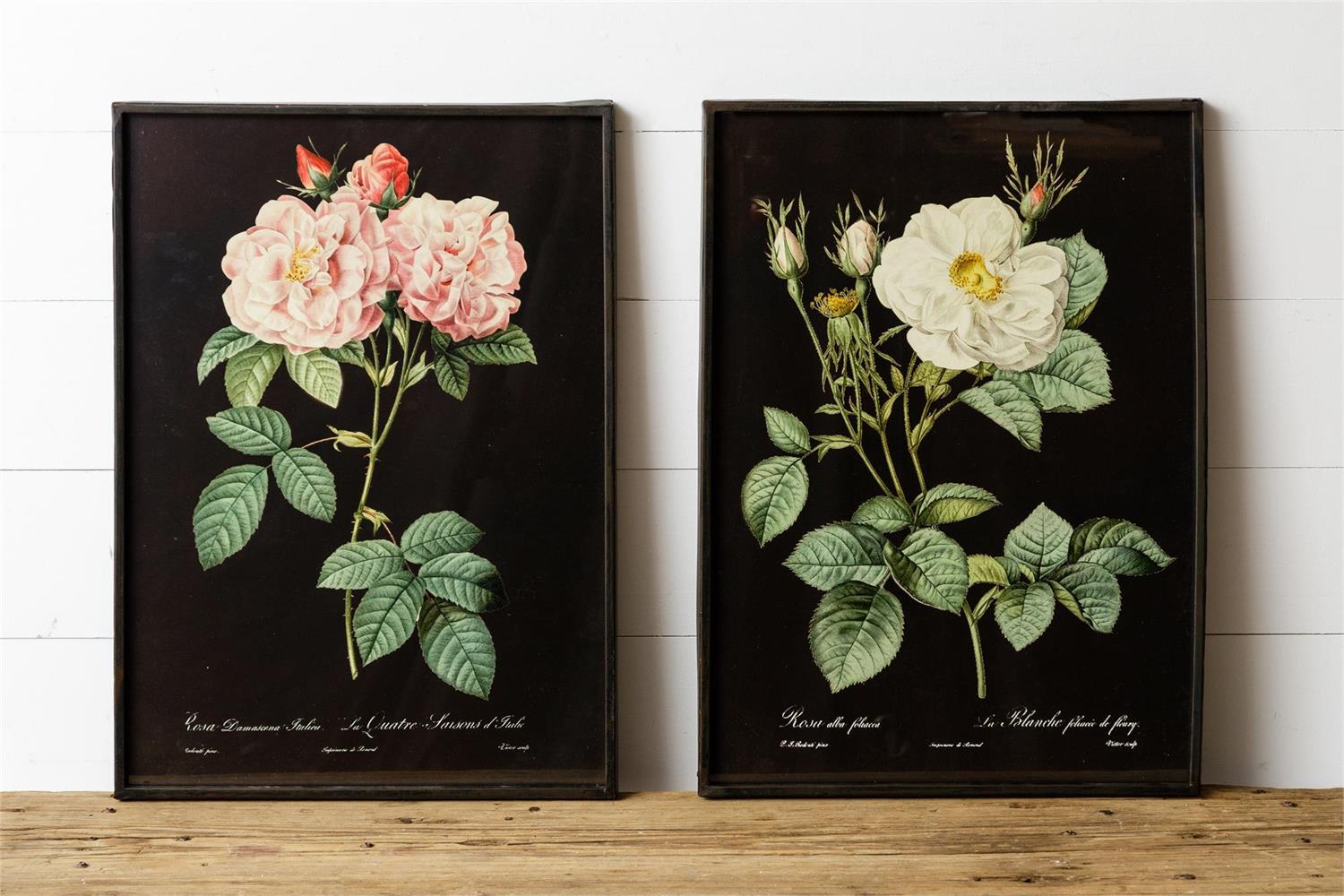 Rose-Framed Prints – The Oaks Apparel Co.